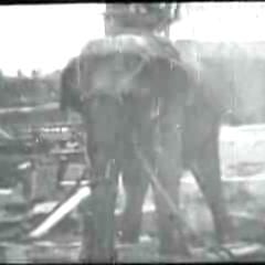 Edison-Electrocuting-Elephant | The Skeptics Guide to the Universe